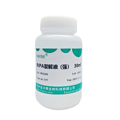 RIPA裂解液 多规格 强/弱 细胞/组织快速裂解 PAGE/WB 提取蛋白