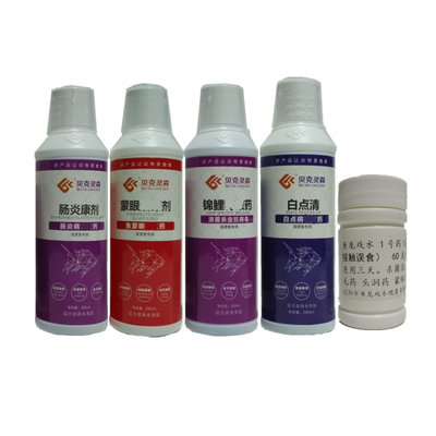 观赏鱼治病防病套餐老师指导用药