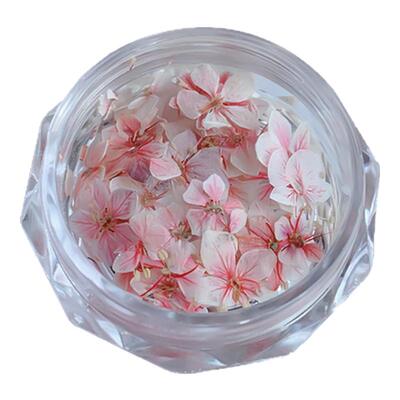 美甲新款ins风莫奈花园干花素材