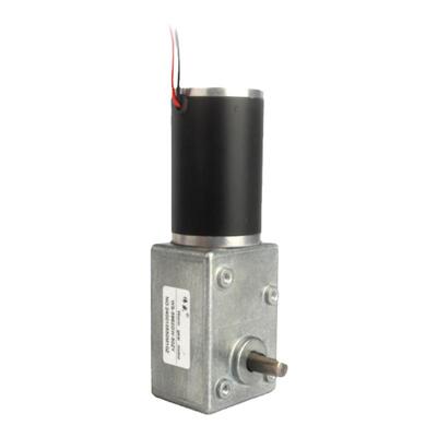 伟盛50ZY大力矩直流涡轮减速电机