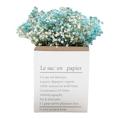 自然风干满天星干花桌面摆件