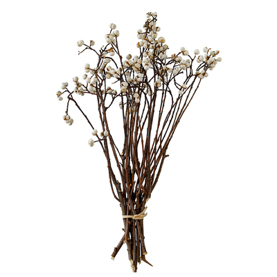 小白果干花加花瓶套装diy乌桕果