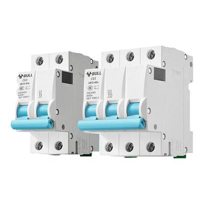 公牛空气开关1p2p3p空开家用小型断路器40保护63a漏电闸三相32安