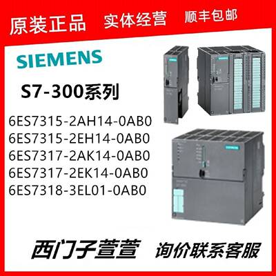 议价6ES7314-6BH04-0AB0 西门子 6ES7314-6BHO4-OABO SIMATIC S7-