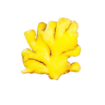 云南小黄姜正宗现挖生姜姜小黄姜新鲜生姜云南沙姜土姜食用小黄姜