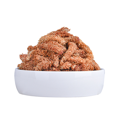 毛毛虫水苔营养土|超1000次加购