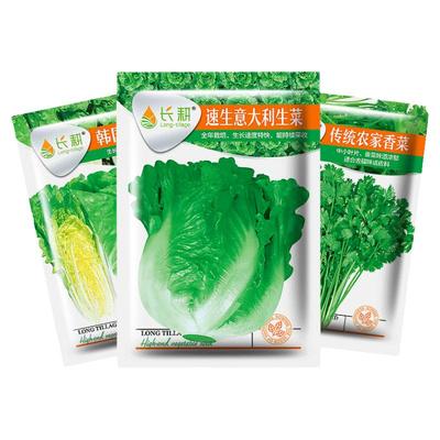 适合秋冬种的菜种籽蔬菜大全阳台四季种子葱香菜菠菜生菜荠菜种孑