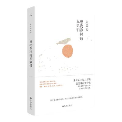 想我眷村的兄弟们 朱天心小说三部曲开篇之作——老灵魂前世今生 张大春导读，流传二十年的华语文学经典 理想国图书旗舰店