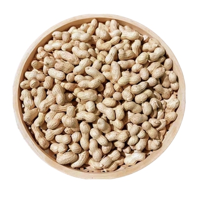 正宗小珍珠蒜香味核桃味花生坚果炒货食品特产香脆休闲小零食带壳