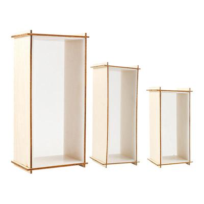 DIY水晶滴胶硅胶模具昆虫标本