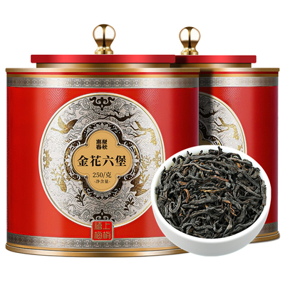 广西六堡茶10年陈500g礼盒装