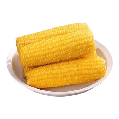 东北黄糯玉米当季新货鲜摘香甜软糯轻食代餐黄苞米低脂饱腹真空装