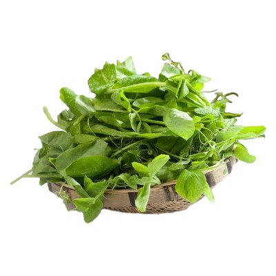 豌豆尖叶菜新鲜蔬菜乔诚现摘现发