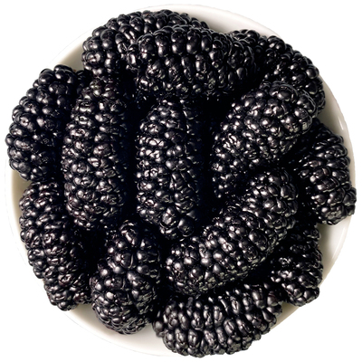 新疆官方桑葚干旗舰店干净无沙