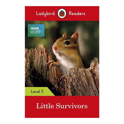 小幸存者瓢虫读者5英文