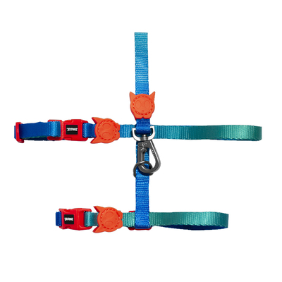 美国zeedog渐变套装猫项圈胸背绳