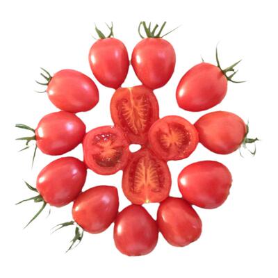 小番茄种子孑超甜贝贝粉苗四季