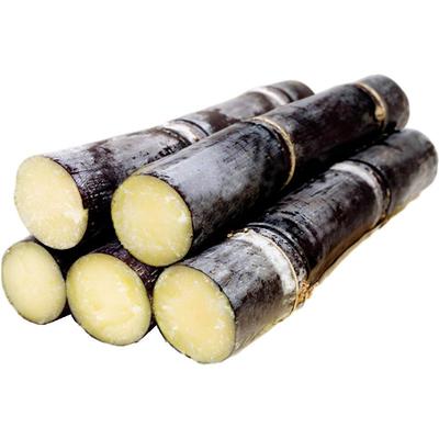 广西上思黑甘蔗新鲜11斤整根应季