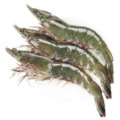大虾鲜活超大基围虾特大青虾冷冻青岛鲜对虾速冻海虾虾类海鲜水产