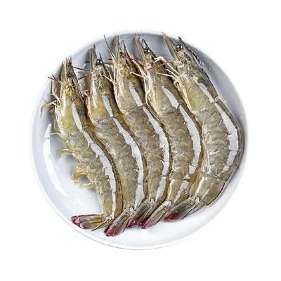 鲜活速冻特大白虾新鲜！
