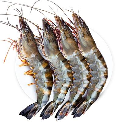 北海湾新货特大黑虎虾单只速冻