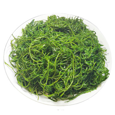 马尾藻foodoer/芙多儿长寿菜海草