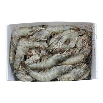 盐冻虾白虾海虾单只冻大虾