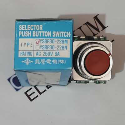 YOUNGSHUNG电动YSRP3022BM推动按钮开关6A伏220伏交流快速发货