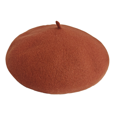 24色小头围澳洲羊毛立体贝雷帽