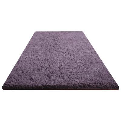 冬天地毯加厚毛绒卧室床边毯