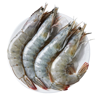 新品冲量！20/30原盒保真足重