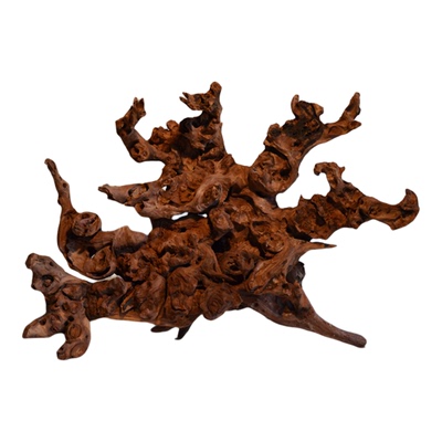 水沉木金丝红木根雕造景自然树根