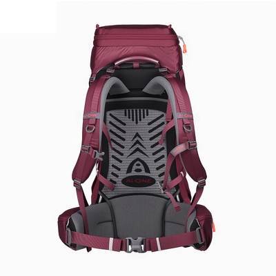 艾王专业户外登山包男旅行包