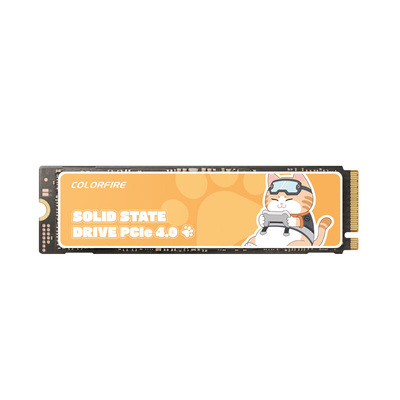 七彩虹橘猫1TB 2TB固态SSD台式机电脑游戏笔记本M.2硬盘pcie 4.0