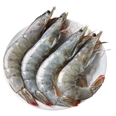 顺丰保鲜！特大厄瓜多尔白虾