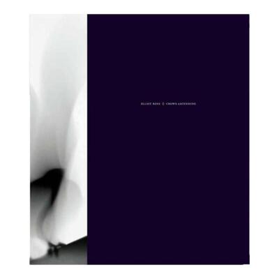 预售 Elliot Ross: Crows Ascending腾空的鸦 布鲁克林摄影师Elliot Ross 英文原版摄影书籍 艺术图书 华源时空 Schilt