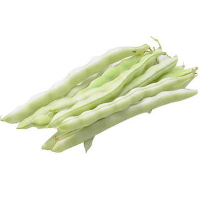 芸豆田园蔬菜种子九粒白豆角种籽