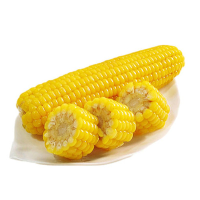 黄粘糯超甜水果玉米种子