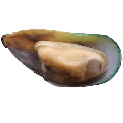 新西兰青口贝特大鲜活冷冻贻贝