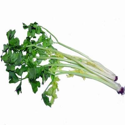 顺丰新鲜白芹菜香芹脆嫩白杆实芹
