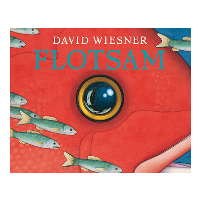 【预售】大卫·威斯纳凯迪克大奖David Wiesner作品 絮状物 Flotsam 儿童知识科学启蒙海边故事绘本读物 英文原版 进口图书书籍