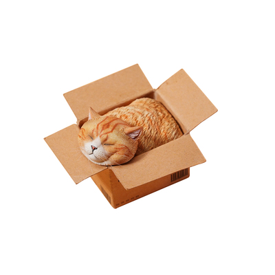 JXK现货中国大陆箱子猫咪