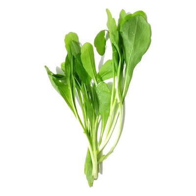 老一生鲜新鲜蔬菜马兰头500g