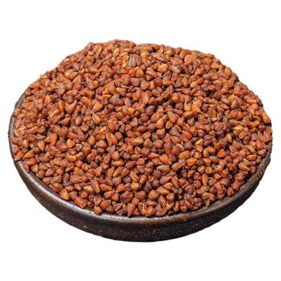 正品大麦四川特级浓香型苦芥茶