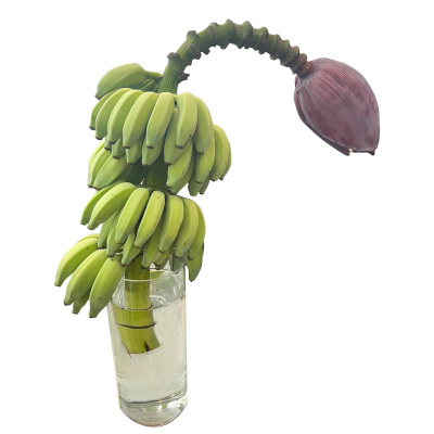 热带花果香蕉花花艺设计婚庆布置