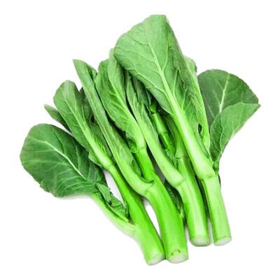有机菜心农场新鲜现摘广东青菜心