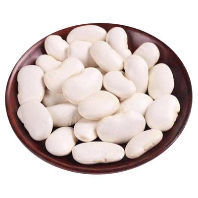 云南高原特产白芸豆大白豆彝星源