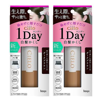 暗棕色便携速干遮白发染发笔日本