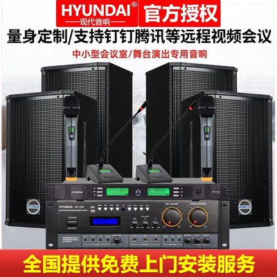 现代专业大中小型会议室音响套装音箱舞蹈教室房多功能厅壁挂培训