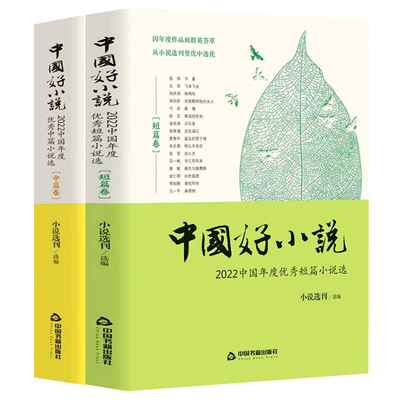 中国好小说中篇短篇卷2022中国年度优秀短篇小说选 小说选刊当代文学小说书